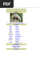 Biología del Didelphis marsupialis | PDF | Habitat | Mamíferos