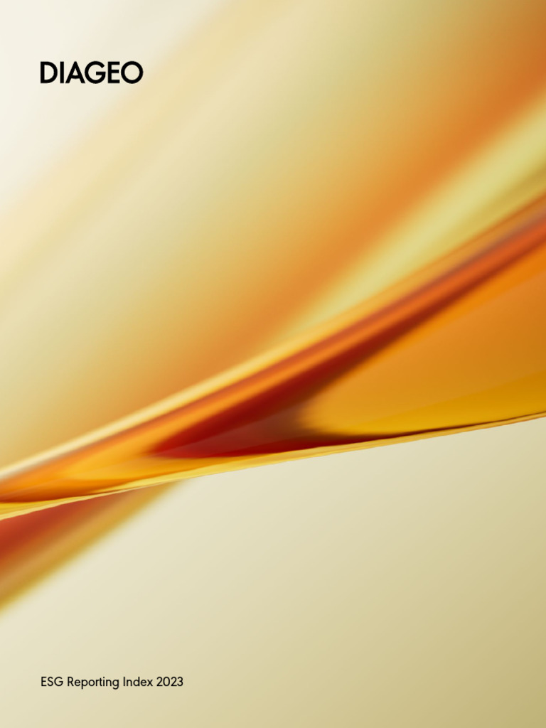 Esg Reporting Index 202 | PDF | Business | Economies