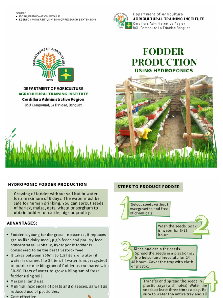 Fodder Productions | PDF