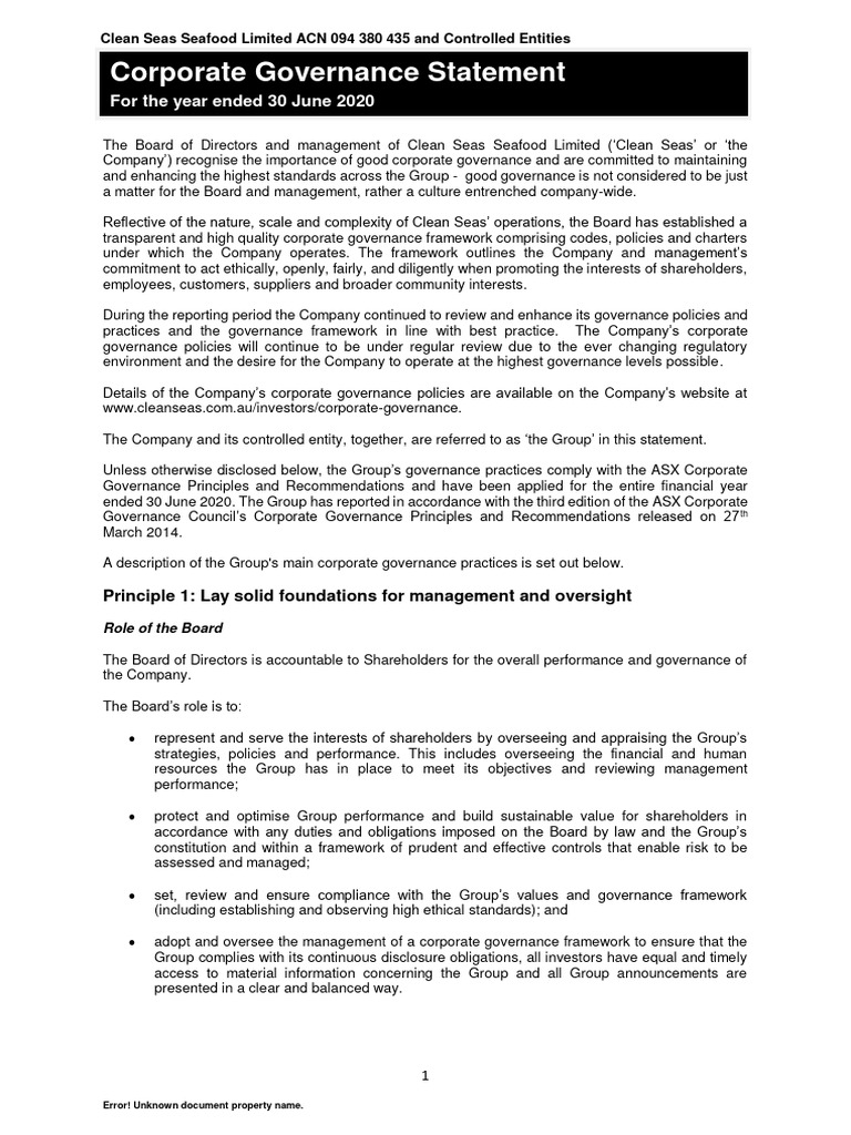 FY20 Corporate Governance Statement | PDF | Audit | Committee