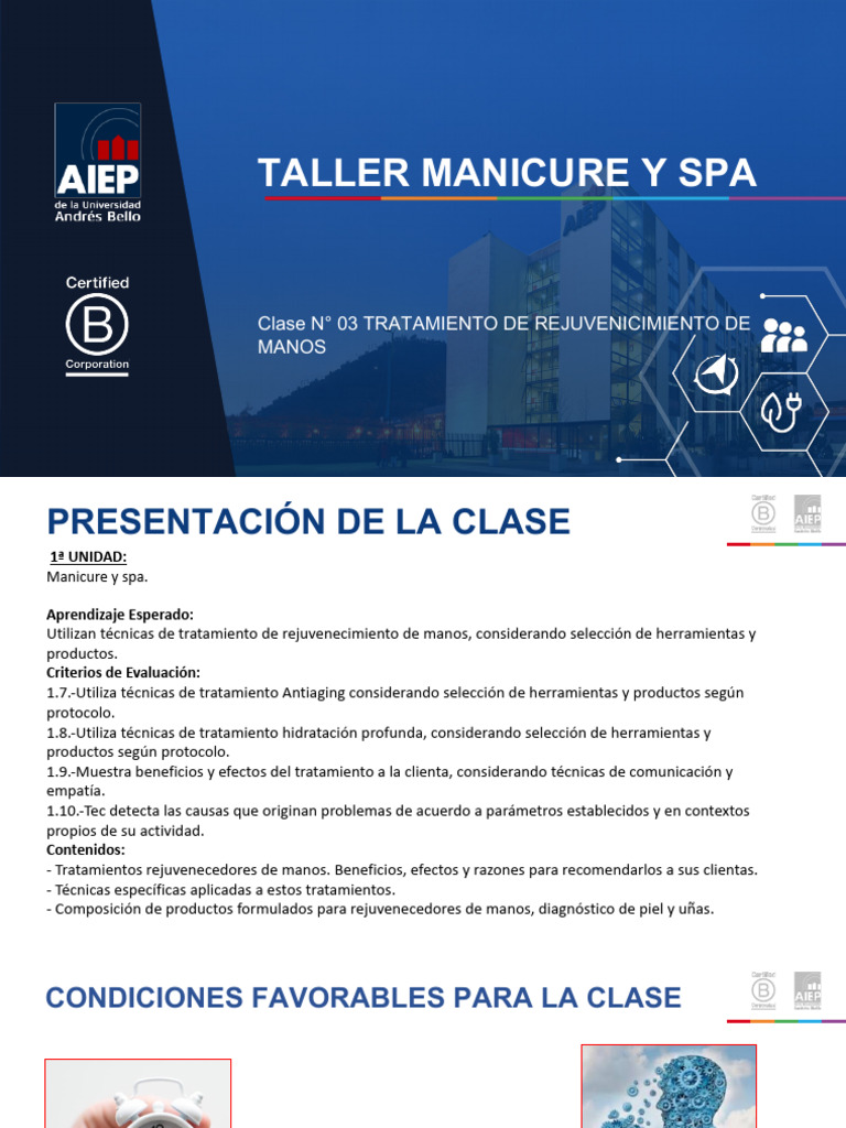 Clase A Clase 03 | PDF | Piel