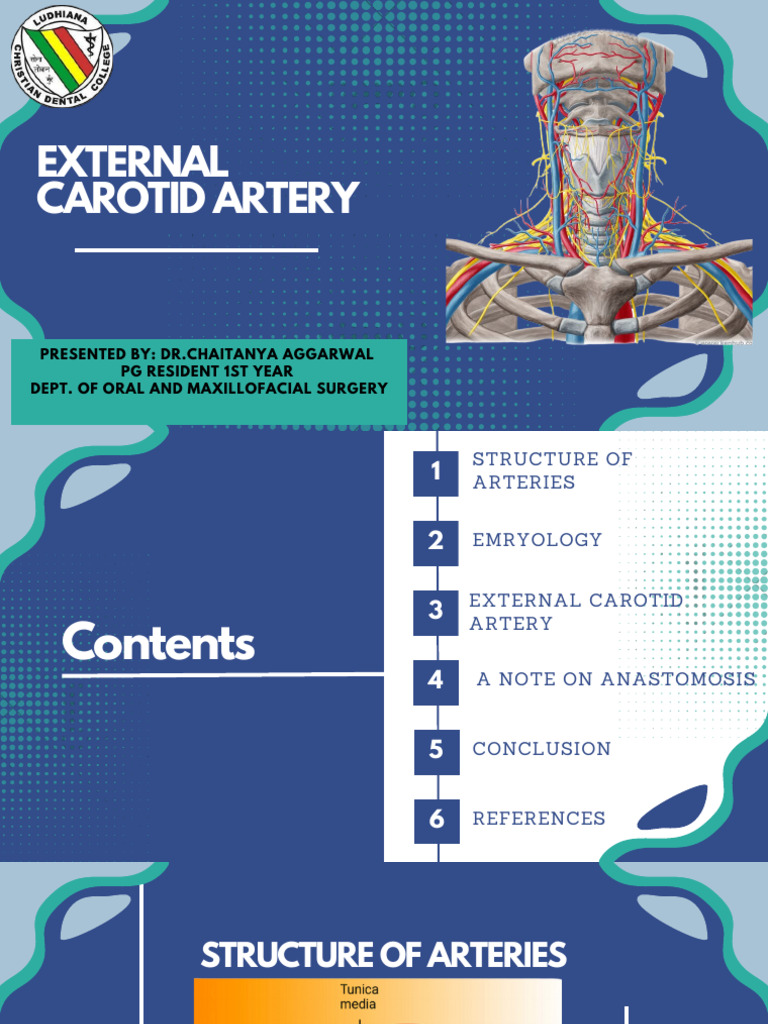 EXTERNAL CAROTID ARTERY IN ORAL AND MAXILLOFACIAL SURGERY | Download Free PDF | Common Carotid ...