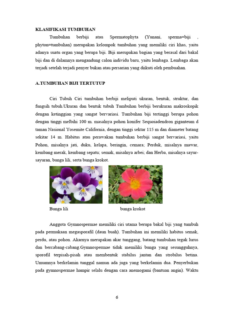 Tumbuhan Biji Terbuka Dan Tertutup | PDF | Sains & Matematika