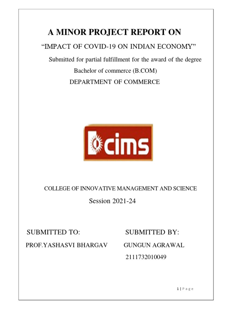 Minor Project | PDF | Small And Medium Sized Enterprises | Recession