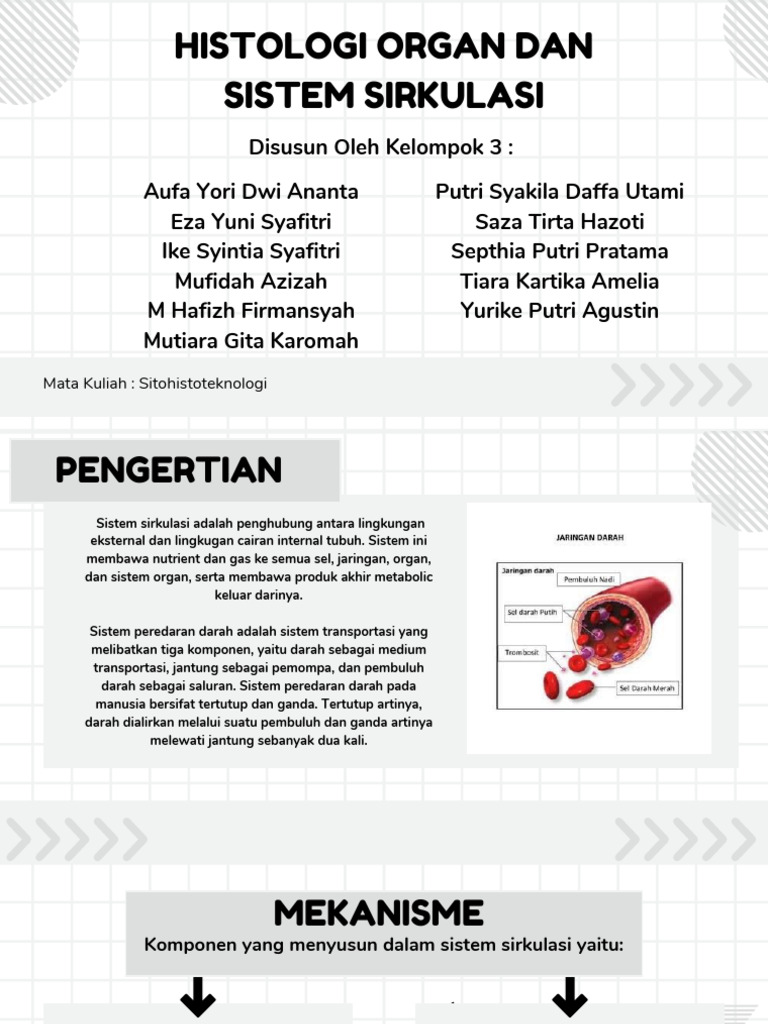 Histologi Organ Dan Sistem Sirkulasi | PDF