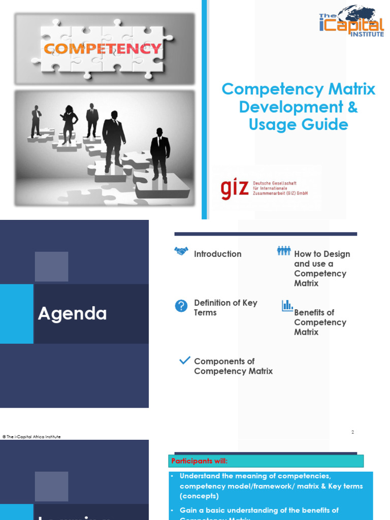 Giz2022 en Competency Matrix Manual | PDF | Expert | Employment