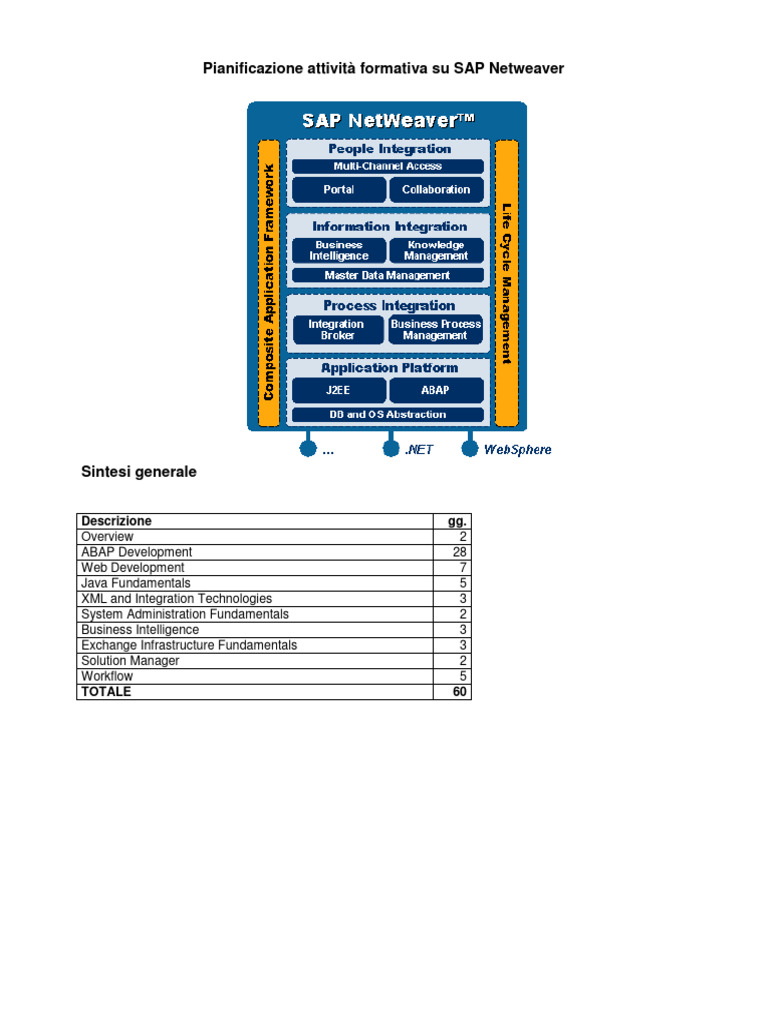 Piano Formativo SAP Netweaver | Download Free PDF | Information Science ...