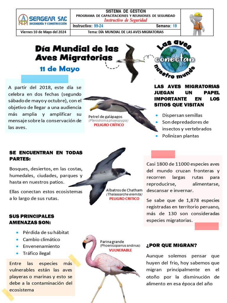 099-24 Día Mundial de Las Aves Migratorias | PDF | Migración de aves | Aves