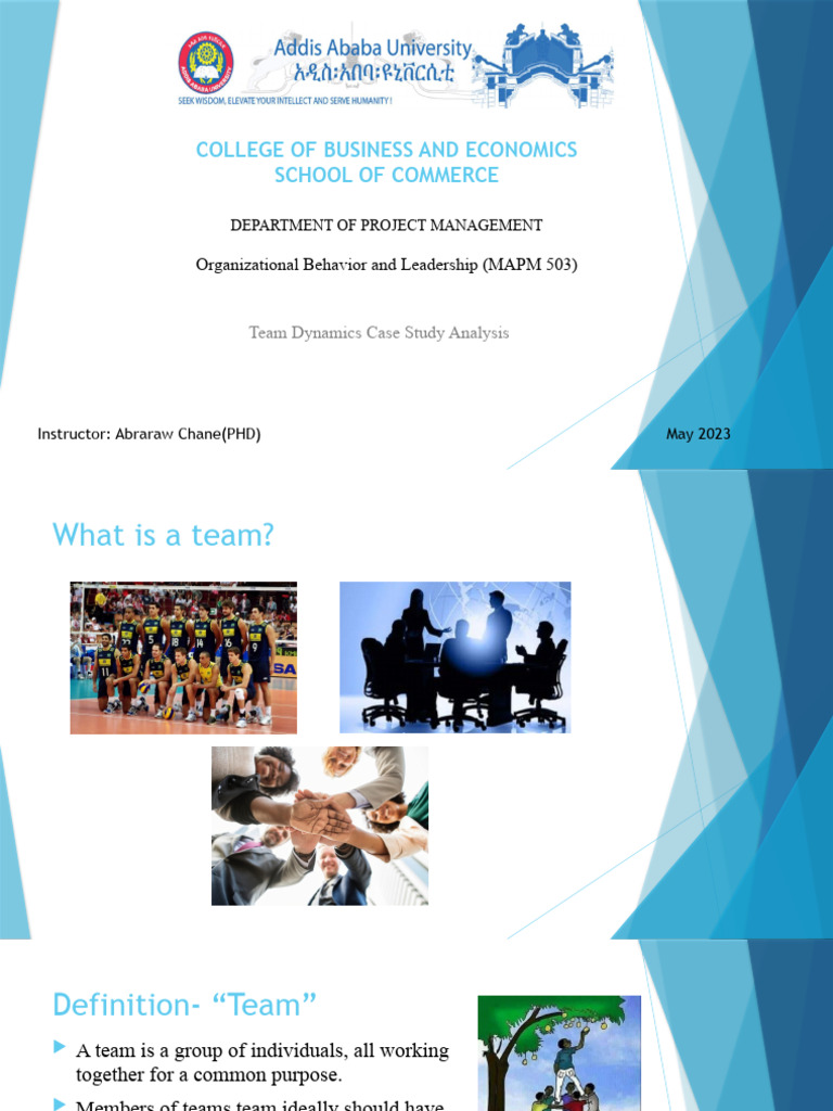 OB Presentation | PDF | Goal | Leadership