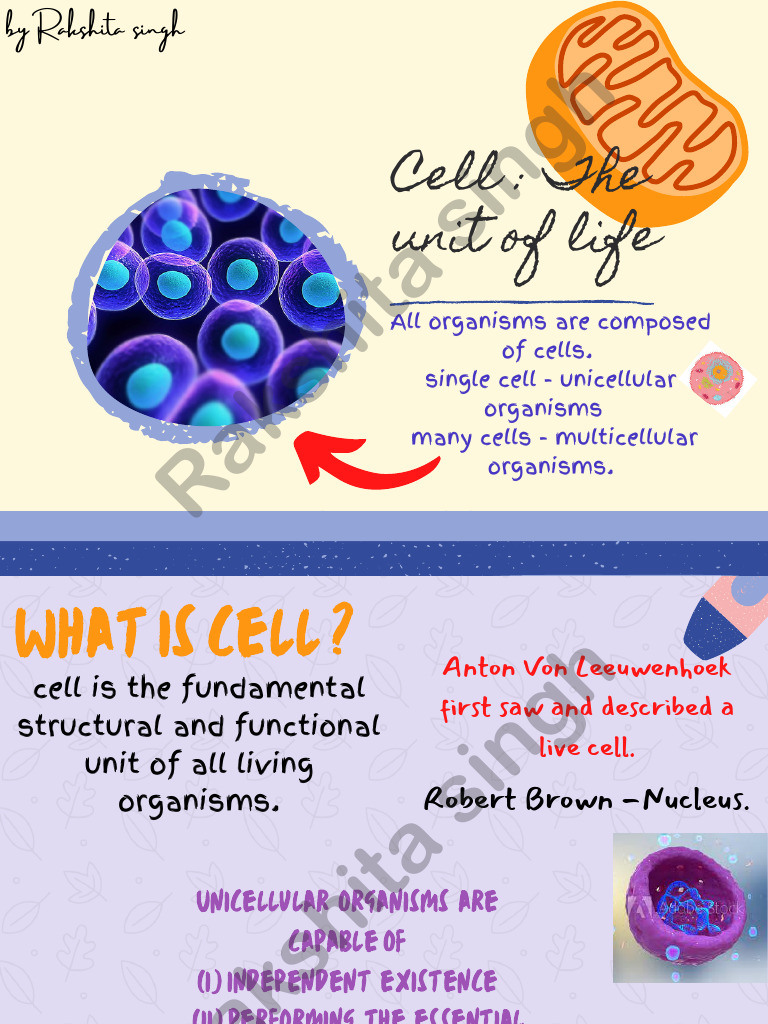 Cell The Unit of Life1 | PDF | Cell (Biology) | Chloroplast