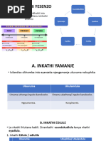 Isizulu Inkondlo Lesson Plan | PDF