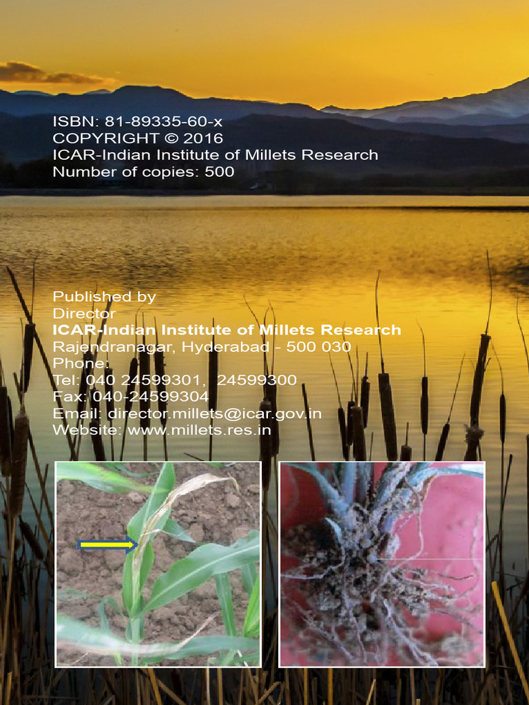 Pests of Millets | Download Free PDF | Pest (Organism) | Pupa