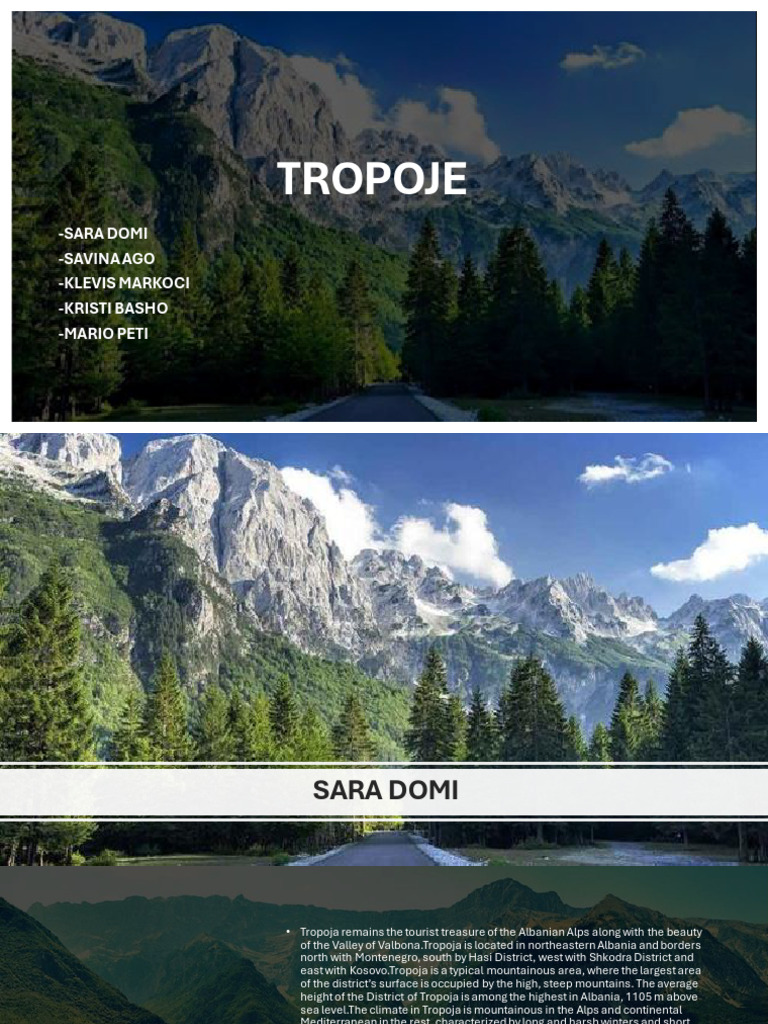 Presentation 13 | PDF | Cuisine | Foods