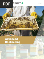 Blue Hive Guide 101 | PDF | Bees | Beehive