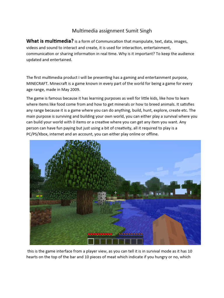 Multimedia Assignment | PDF | Minecraft | Netflix