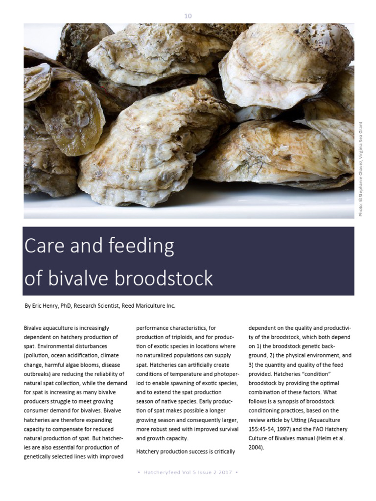 Care and Feeding of Bivalve Broodstock Hatcheryfeed May June 2017 | PDF ...
