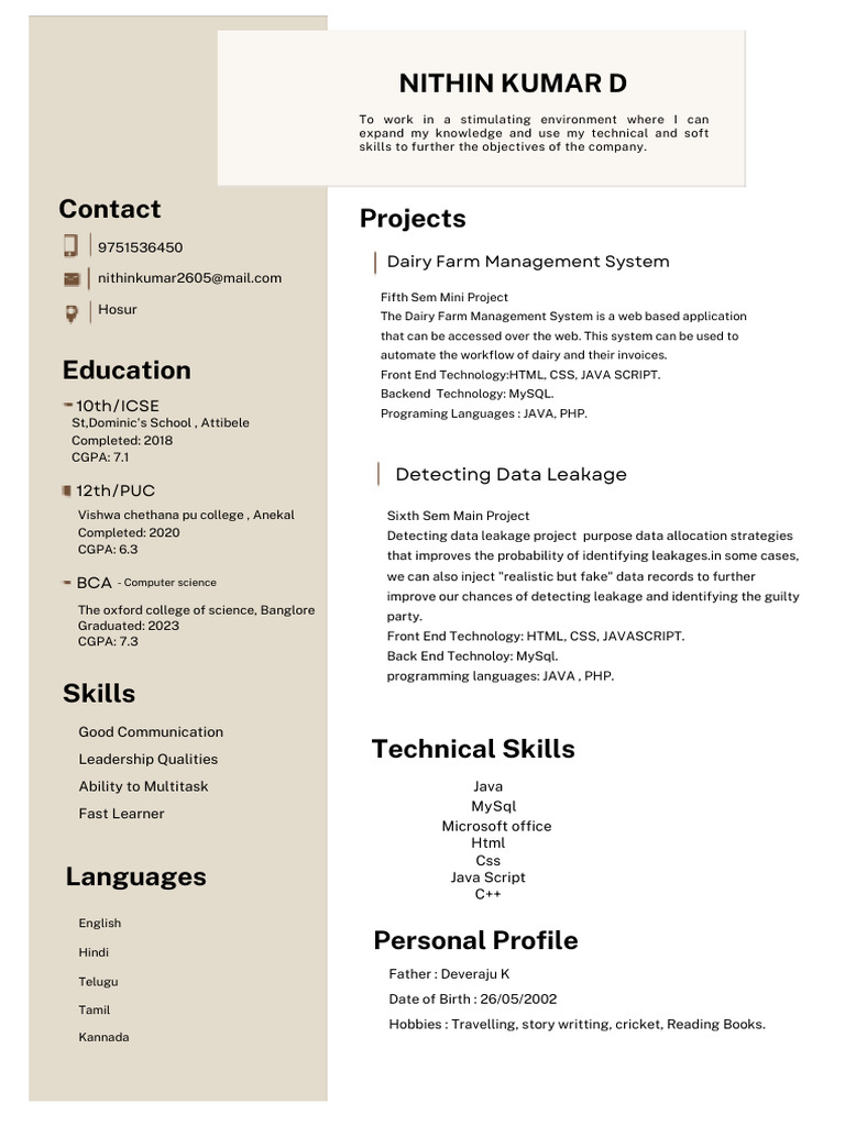 Computer Science Graduate Projects & Skills | PDF | Java Script | World Wide Web