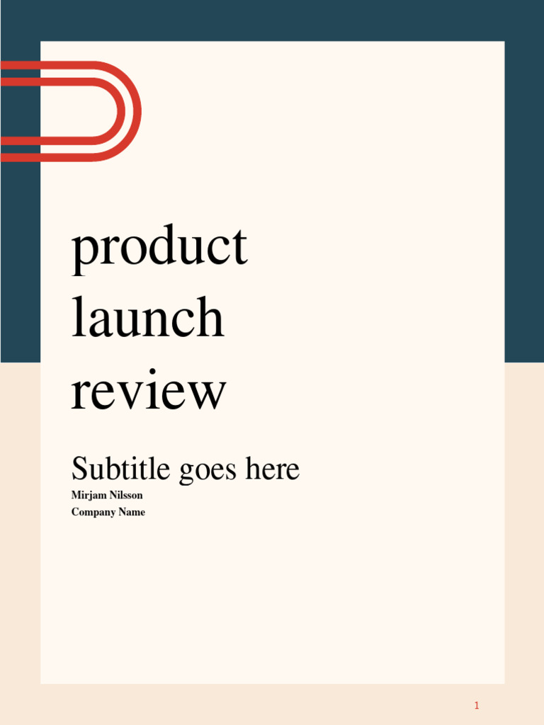 Product Launch | PDF | Methodology