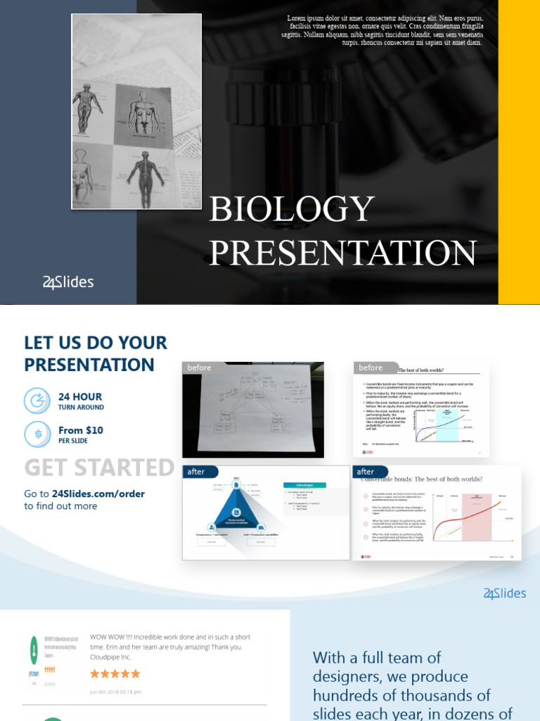 Biology Creative | PDF | Outsourcing | Investing