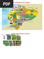 Mapa Politico Del Guayas | PDF