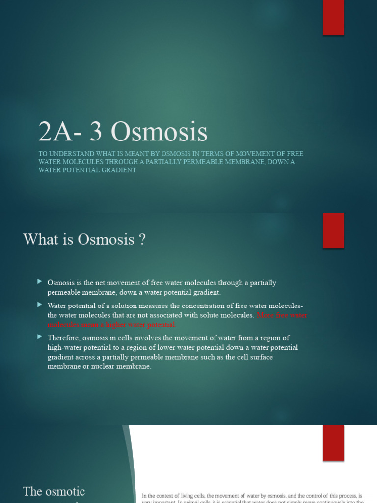 2A3 Osmosis | PDF | Osmosis | Cell Membrane