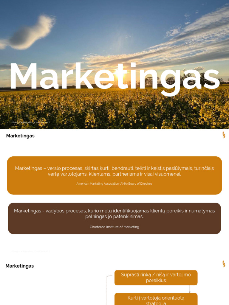 marketingas | PDF