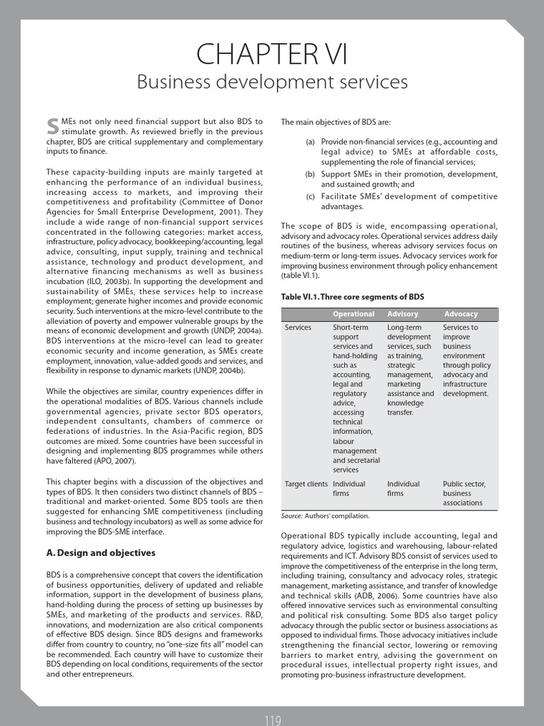 Business Development Services | PDF | Small And Medium Sized Enterprises | Non Governmental ...