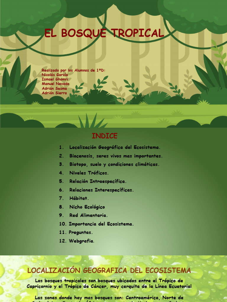 Bosque Tropical 32 | PDF | Depredación | Zona tropical