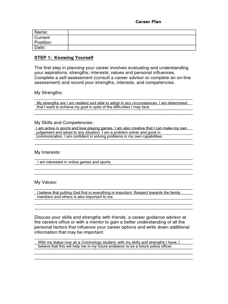 Career Plan Template | PDF | Mentorship | Goal