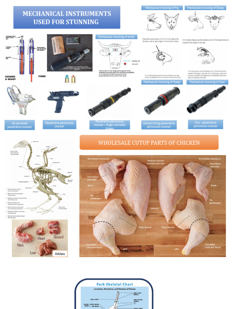 Charts Meat & Wool | PDF | Wool | Textiles