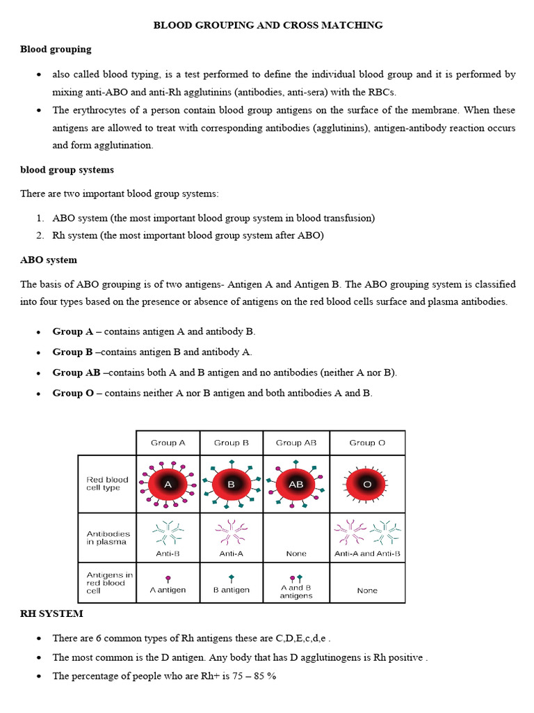 Blood Grouping & Cross Matching Guide | PDF | Blood Type | Animal Anatomy