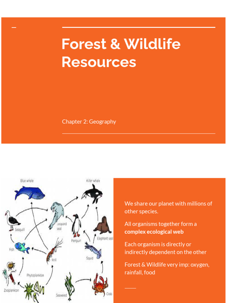 Forest Wildlife Revised PDF | PDF | Conservation Biology | Nature