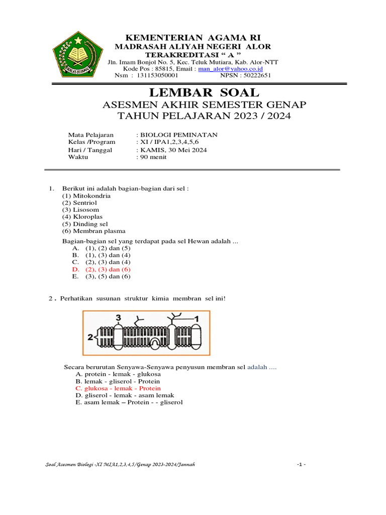 SOAL ASESMEN BIOLOGI PEMINATAN XI Genap KUNCI - 2023-2024 - 2 | PDF | Sains & Matematika