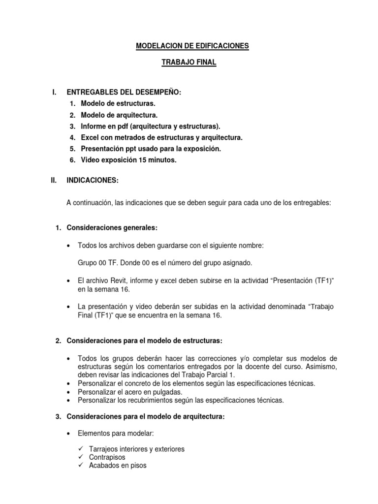 Indicaciones Trabajo Final | PDF
