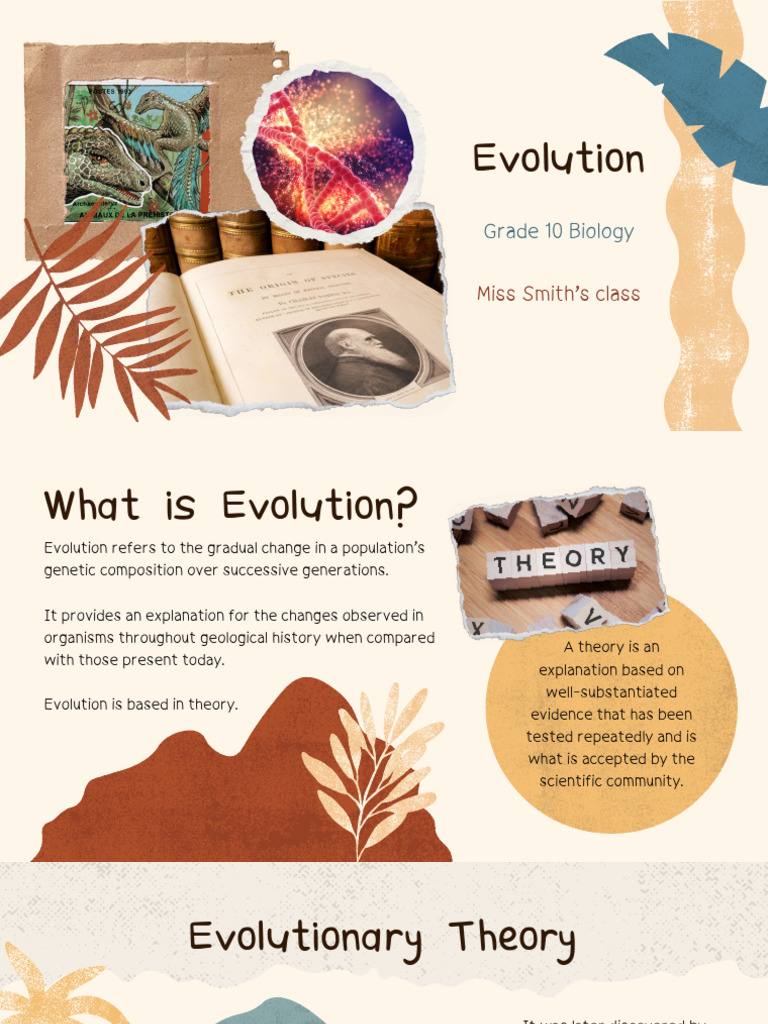 Evidence For Evolution Presentation in Colorful Textured and Natural ...