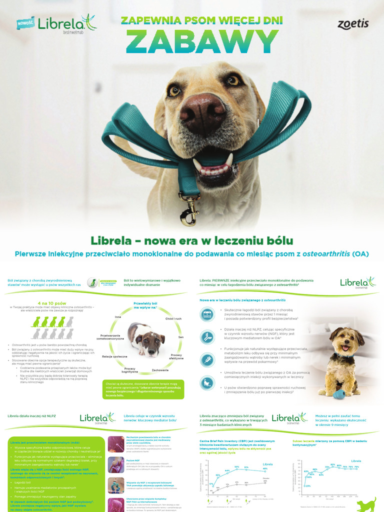 Detailer Librela | PDF
