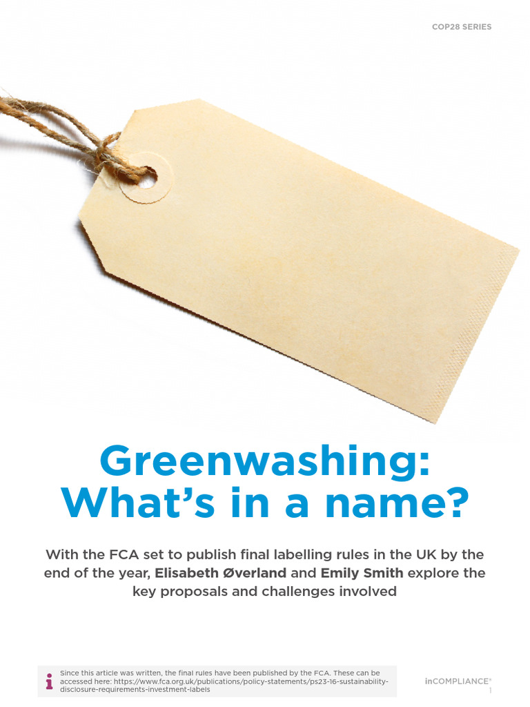 Greenwashing Whats in A Name | PDF | Sustainability | Economies