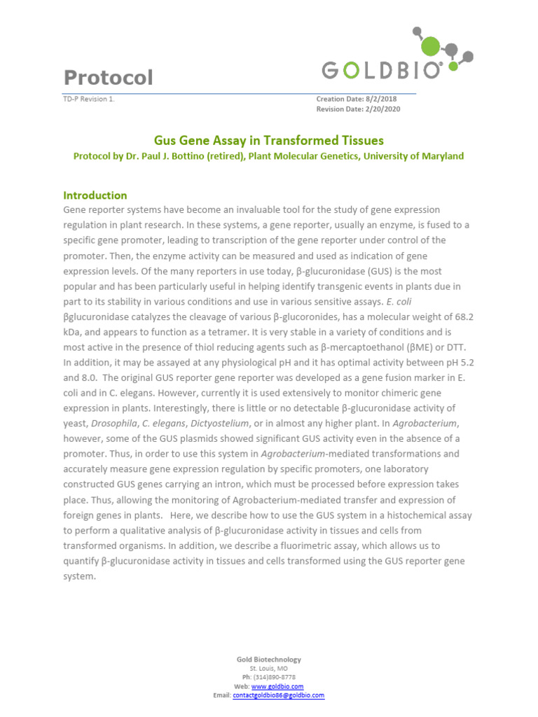 Gus Gene Assay Protocol | PDF | Fixation (Histology) | Staining
