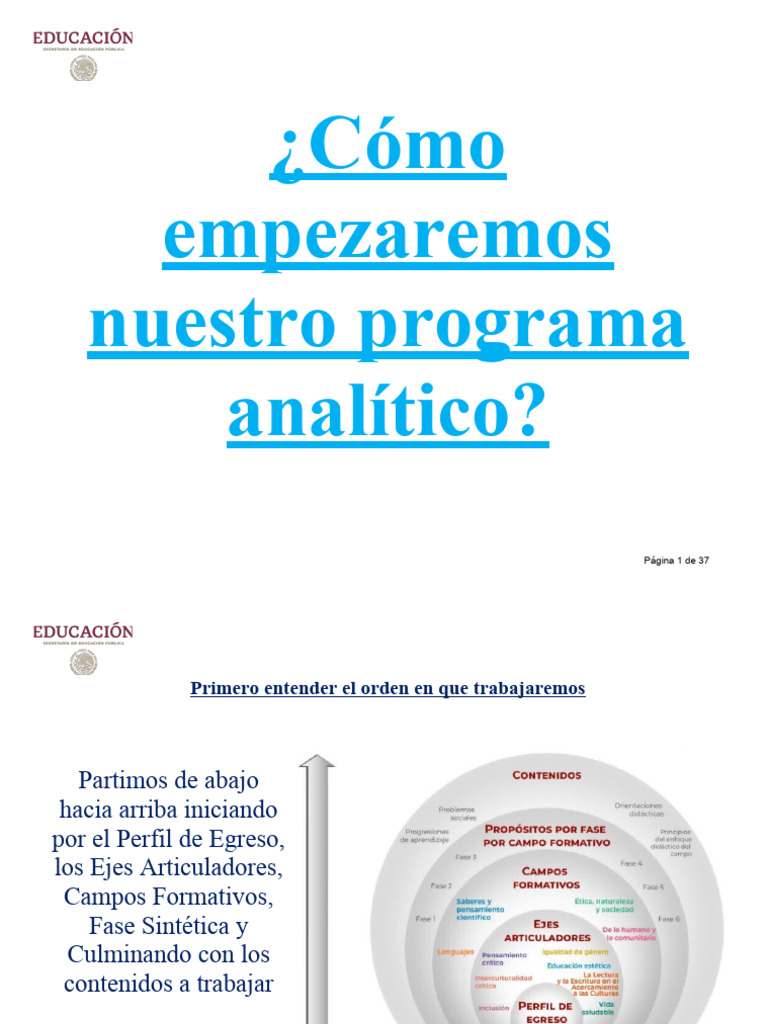 Programa Analitico (Orientaciones) | Descargar gratis PDF | Aprendizaje | Evaluación