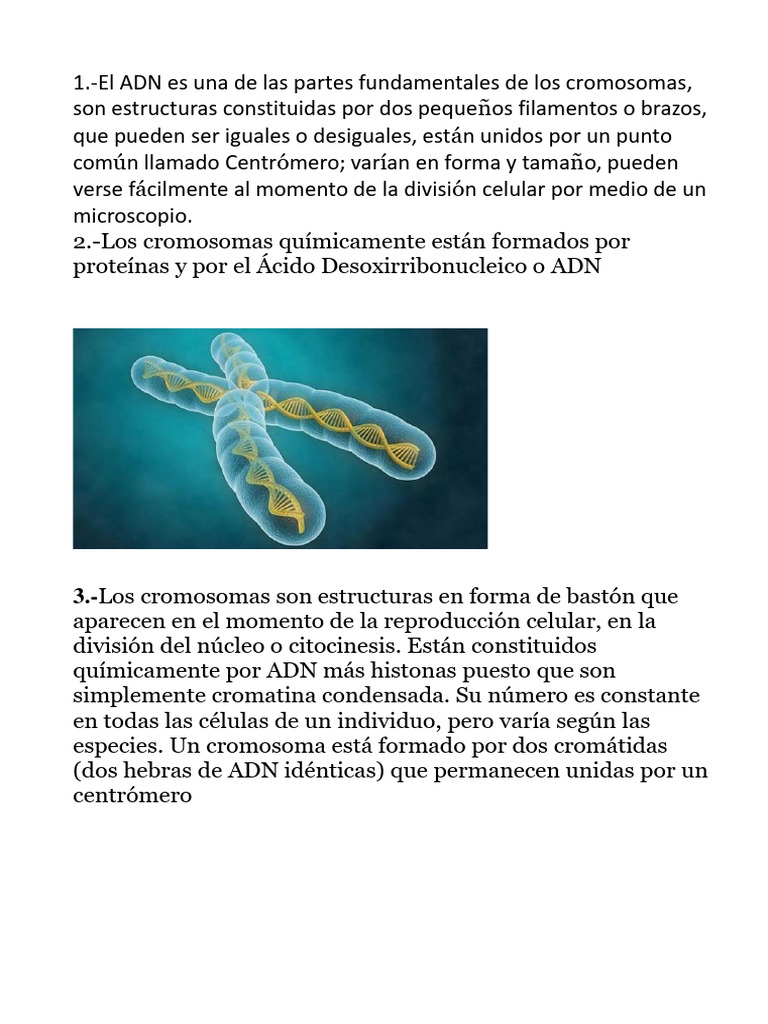 ADN Biología Mayo 24 | PDF | Adn | Cromosoma