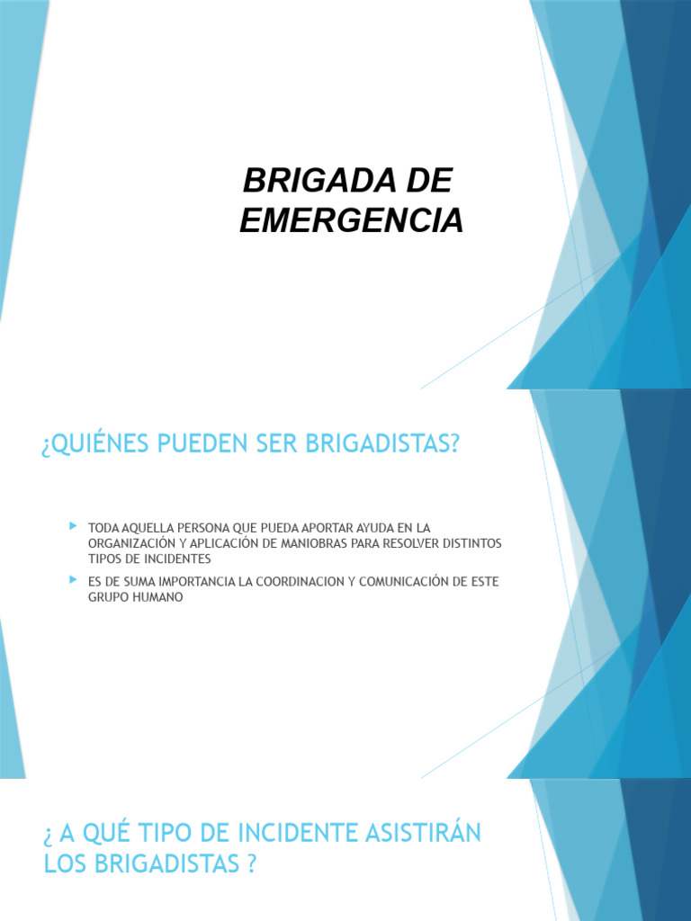 Introducción Brigadas | PDF