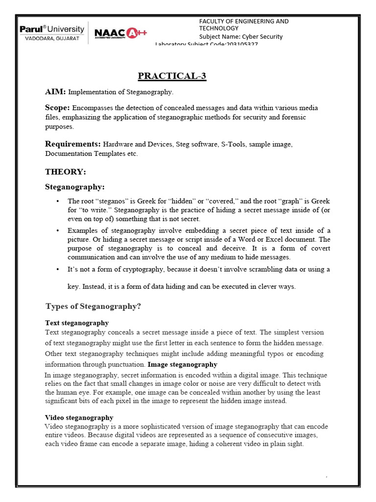 CS MANUAL Practical 3 Sanju | PDF | Cyberspace | Computing