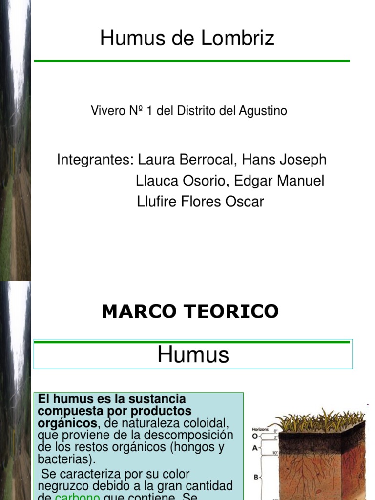 Proceso Humus | PDF | Compost | Descomposición