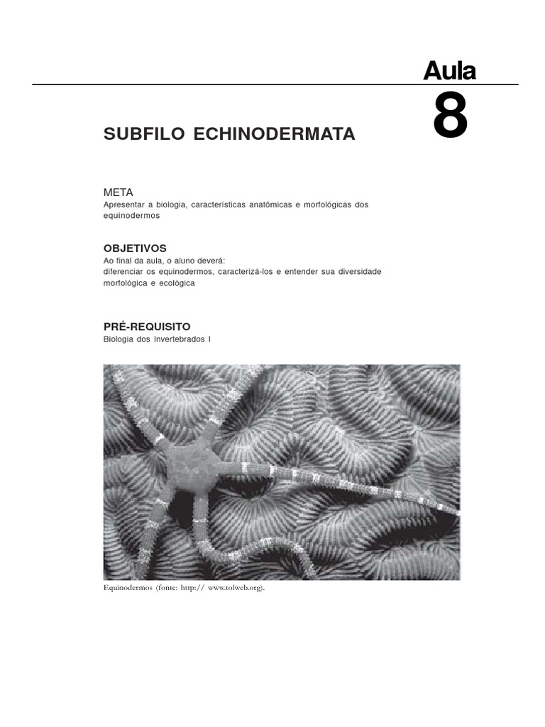 11274416022012biologia Dos Invertebrados II Aula 8 | PDF | Zoologia