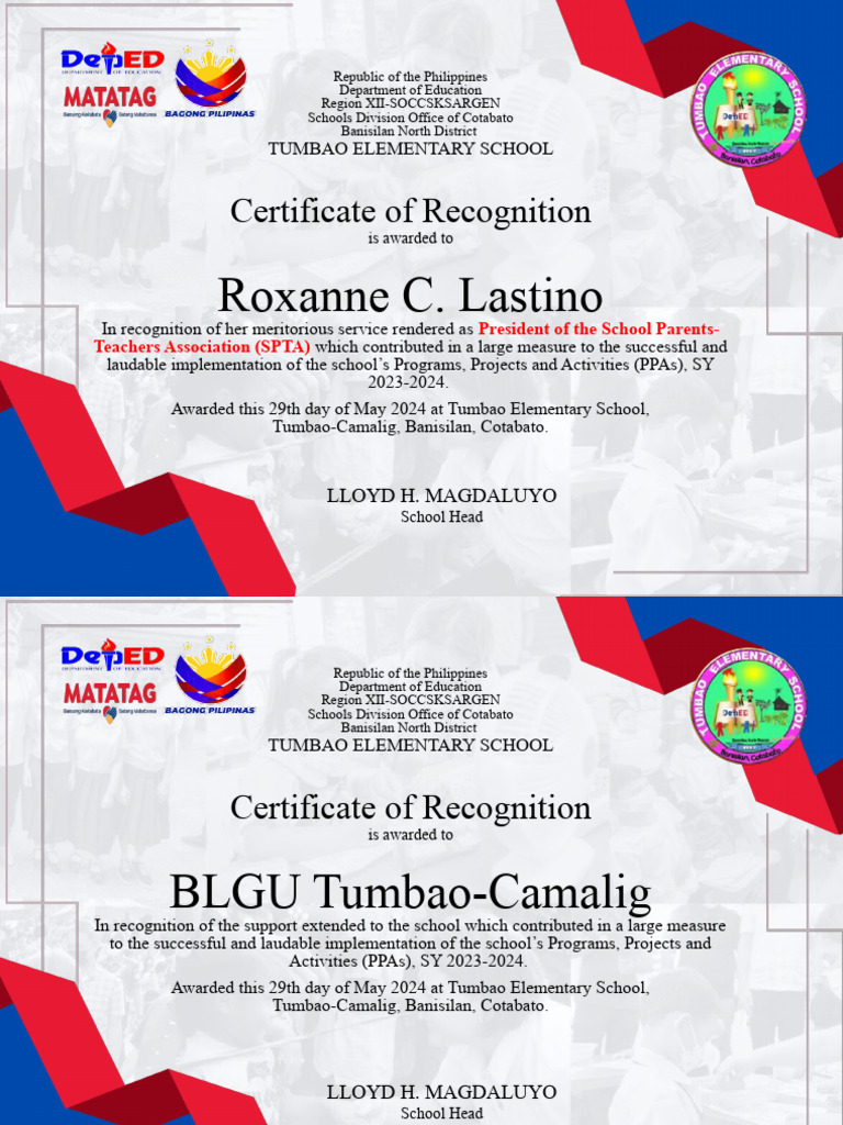 Matatag Certificate | PDF | Government Related Organizations | Government