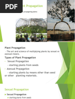 Asexual Propagation by Inarching | PDF | Grafting | Trees