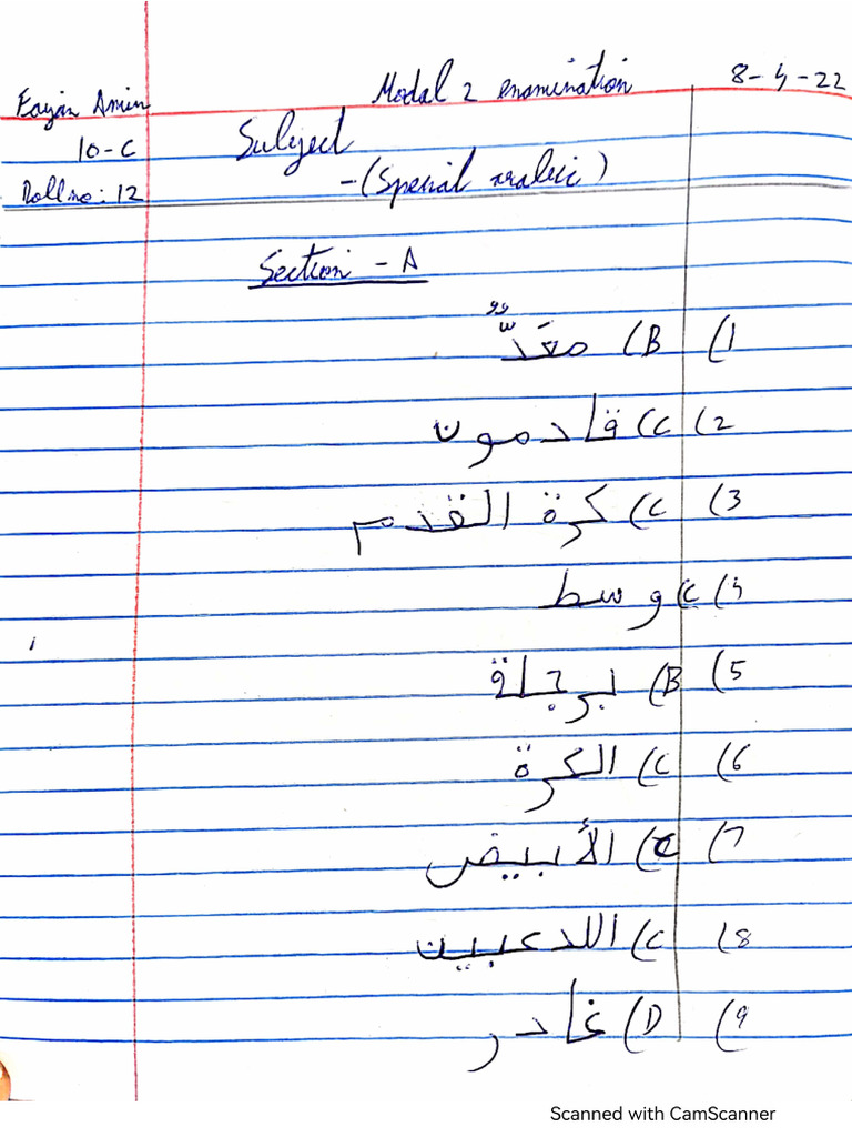 Special Arabic Model Notes | PDF
