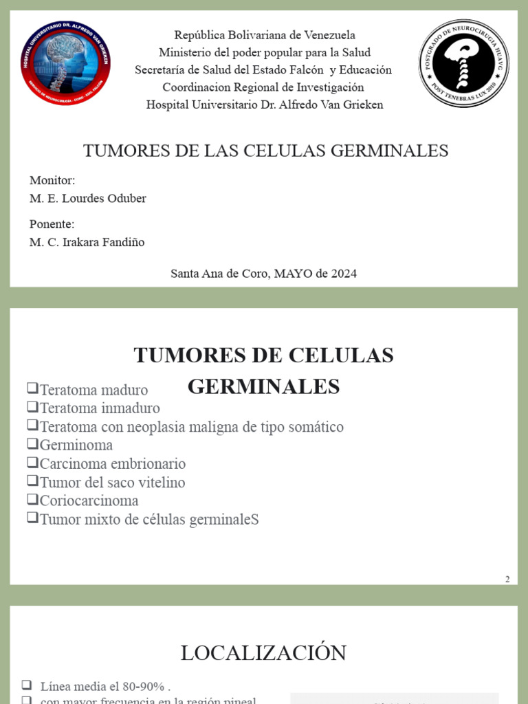 Tumores de Células Germinales: Tipos y Características | PDF | Neoplasias | Enfermedades y ...