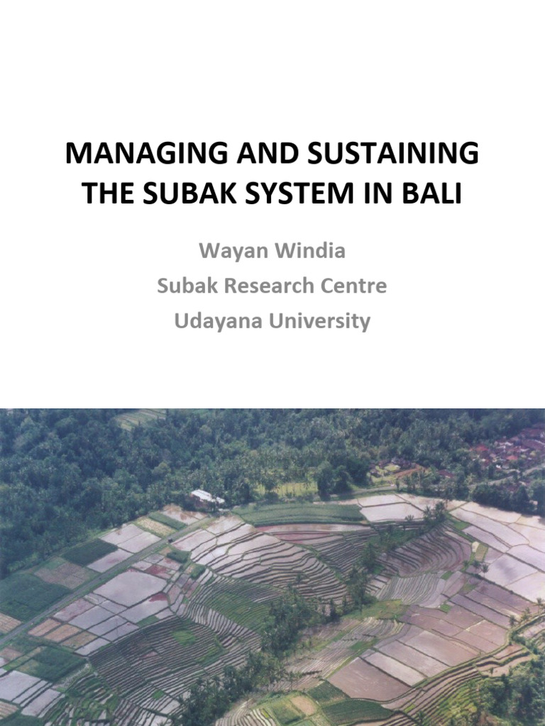 Bali's Subak: Tradition & Sustainability | PDF | Rice | Earth Sciences