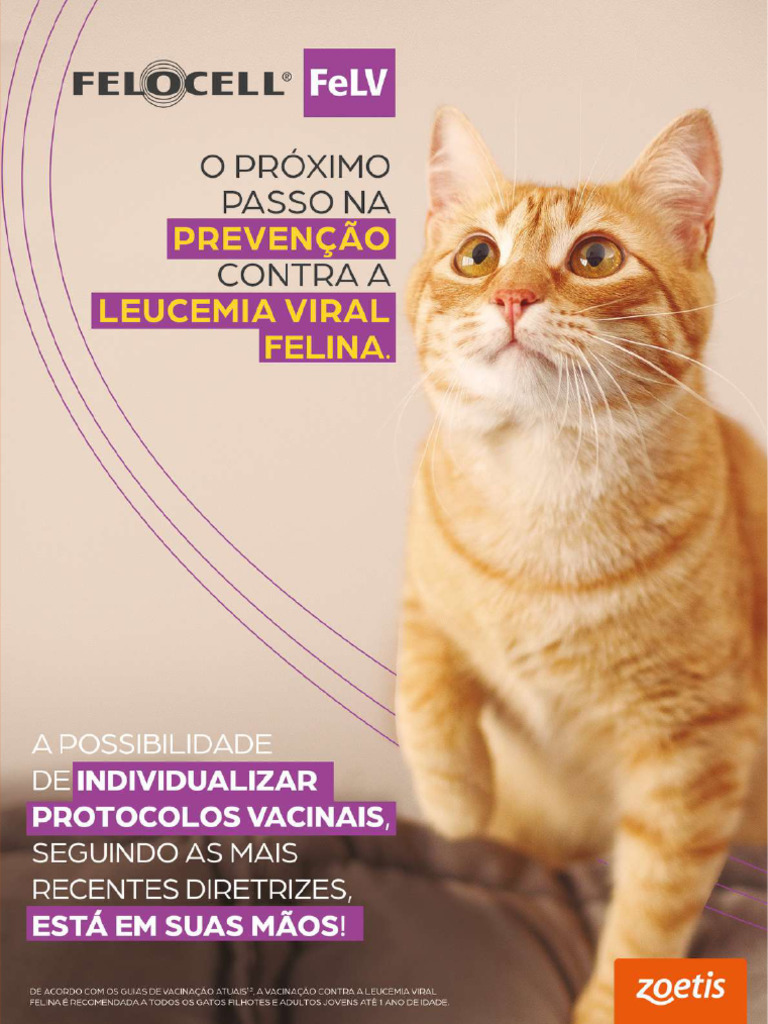 Folheto Tecnico Felocell Felv | PDF | Vacinas | Anticorpo